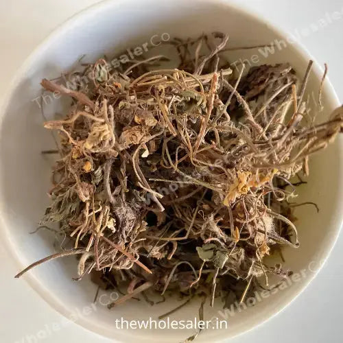 Sweet Violet, Cut - Gul banafsha - Viola Odorata – TheWholesalerCo Canada